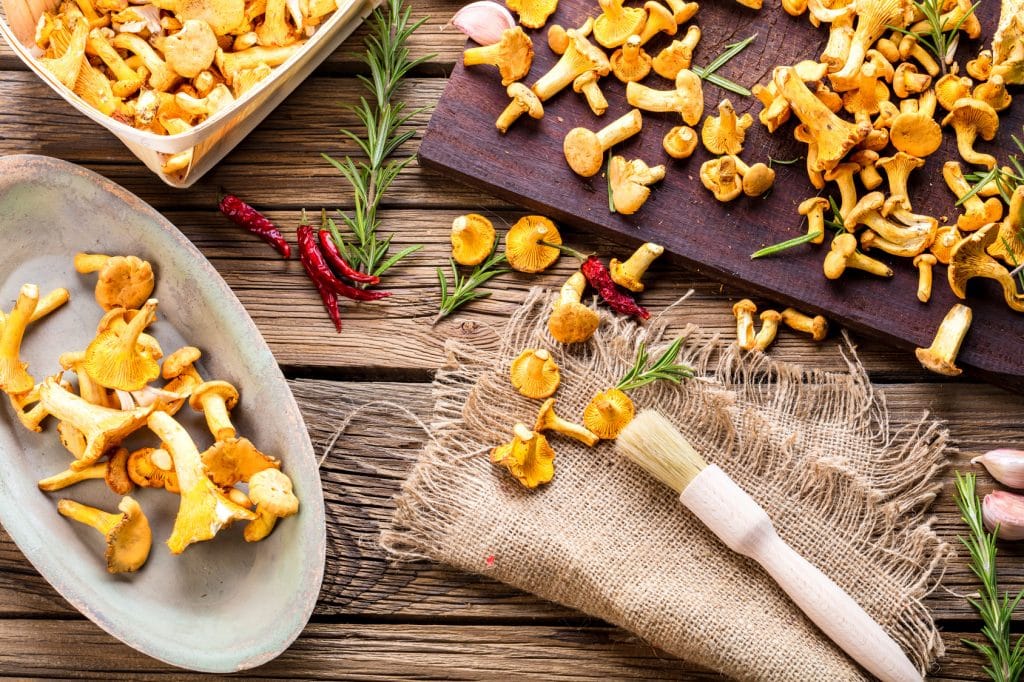 Pfifferlinge putzen - So klappts ganz einfach und schnell
